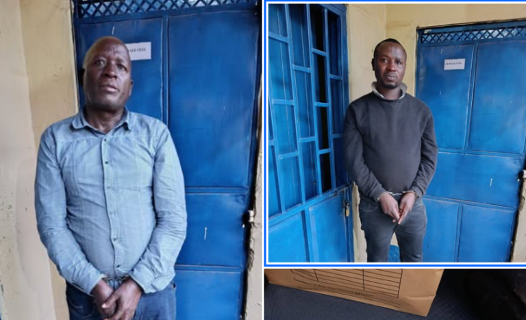 Duo nabbed in highway car theft racket, another arrested in livestock ...