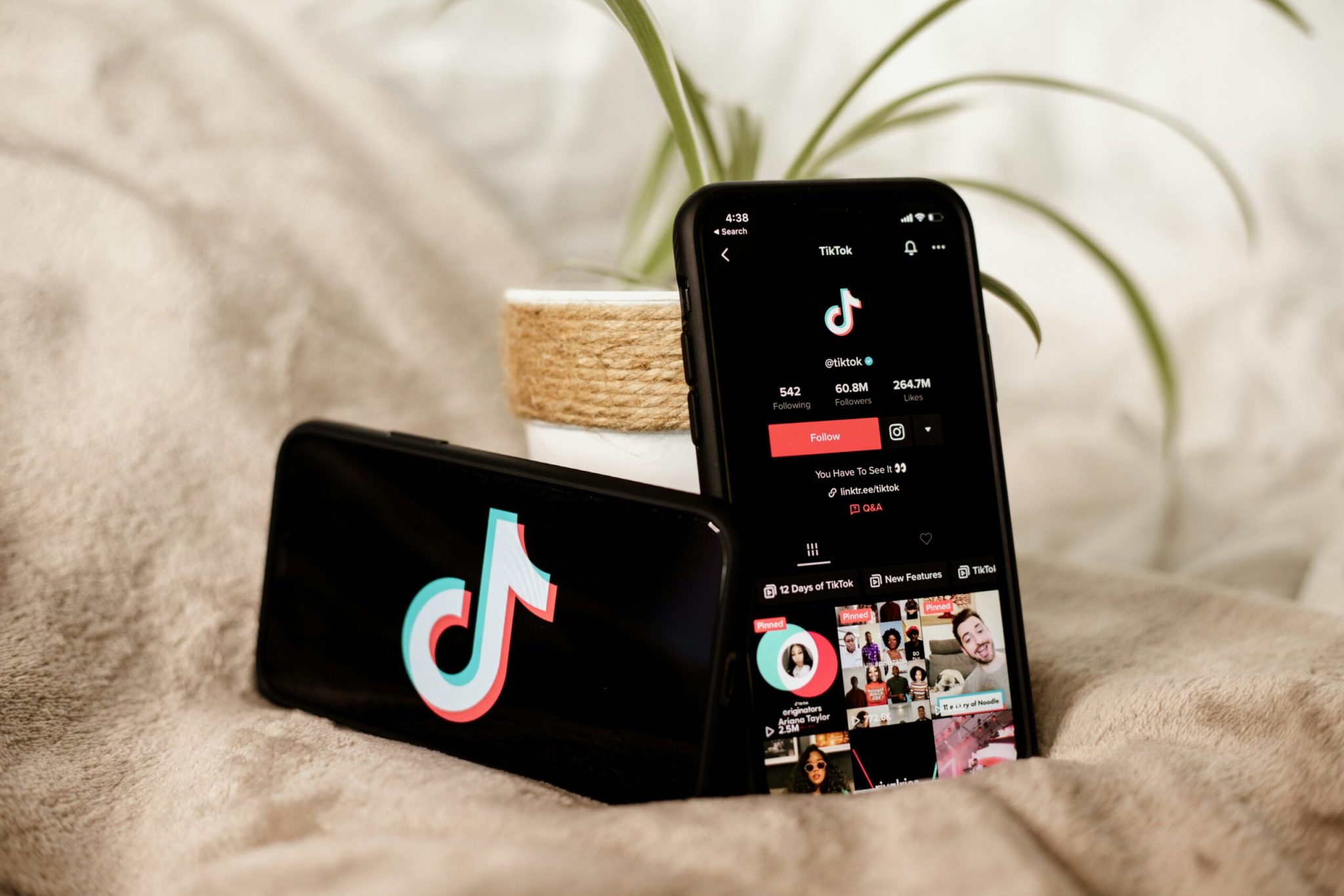 How Long Do Appeals Take on TikTok? - Nairobi News