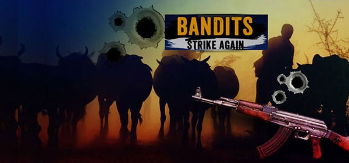 At least 7 people killed in Meru banditry attacks - Nairobi News