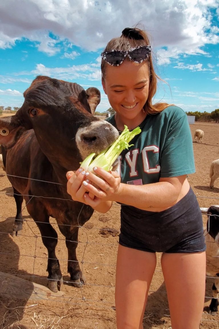 Tash Peterson net worth: The Australian animal rights activist ...